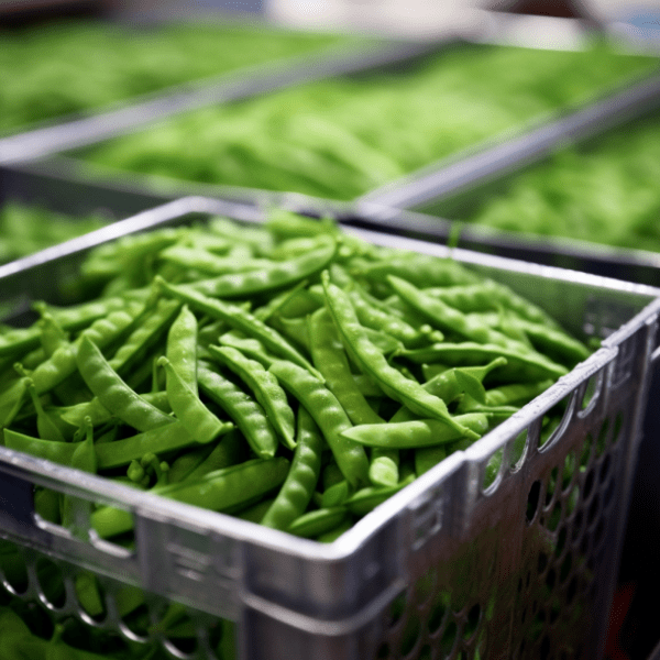 IQF Vegetables - RDM International - Fruit & Vegetables to the World